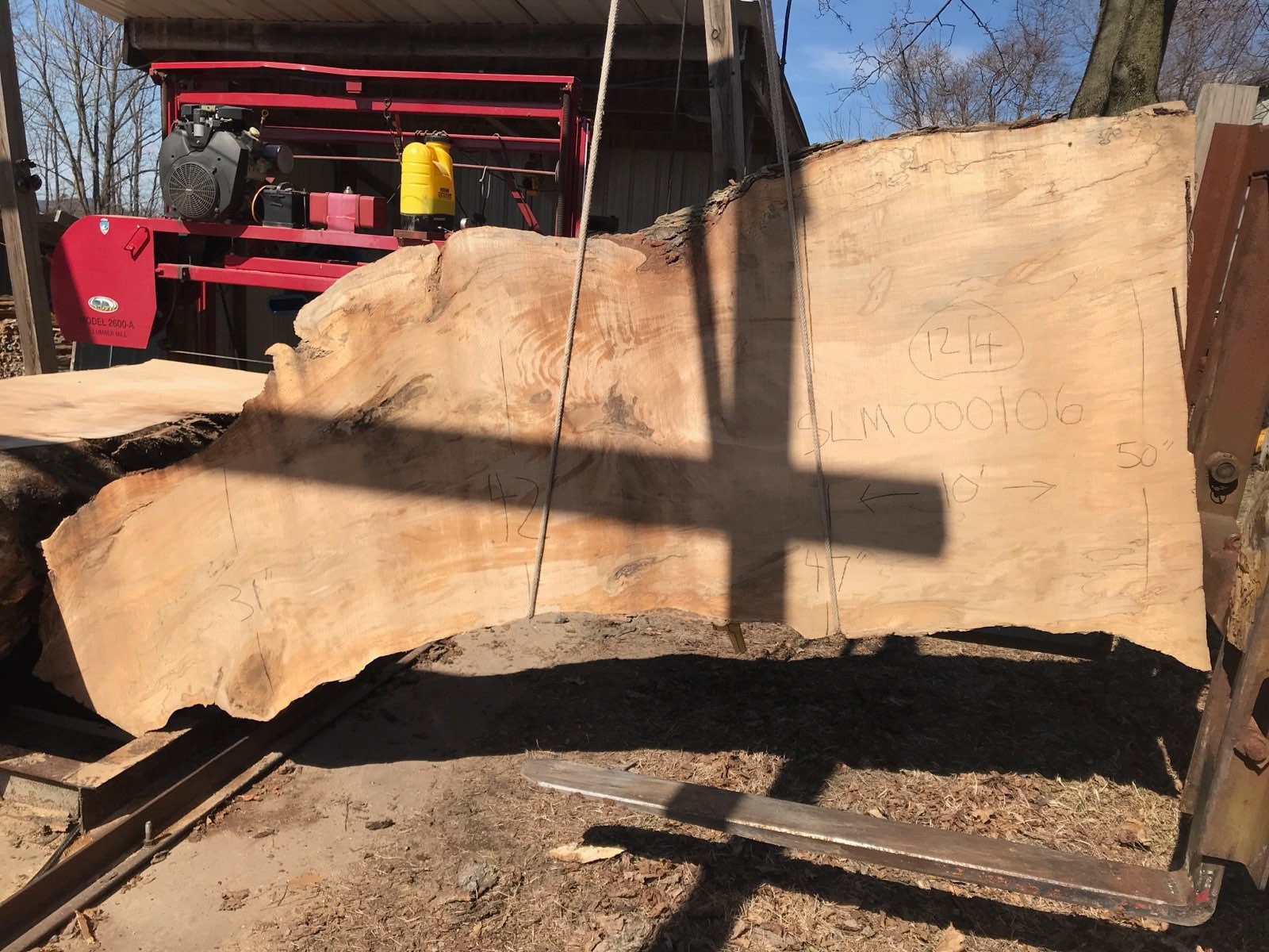 Silver Maple | Live Edge Wood | Reclaimed Wood Slabs | Kiln Dried Wood ...