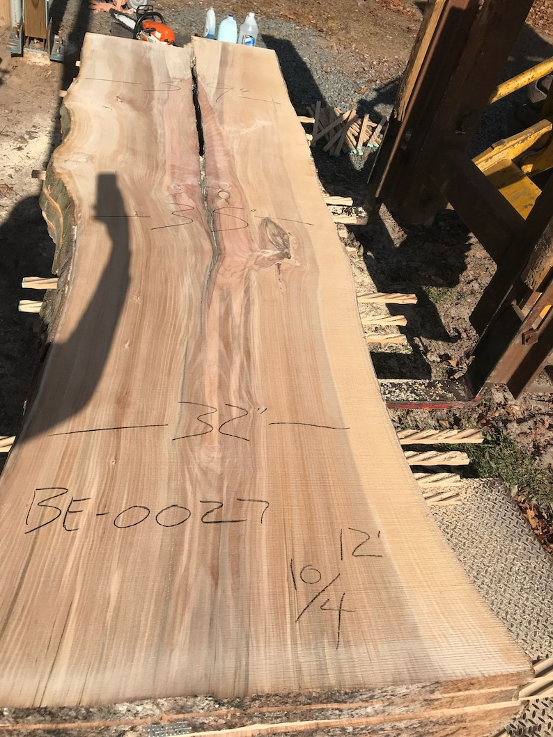 Beech | Live Edge Wood | Reclaimed Wood Slabs | Kiln Dried Wood for ...