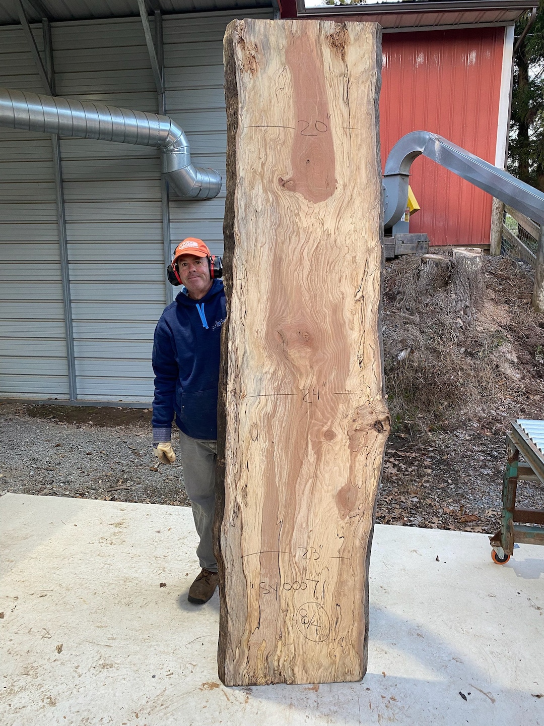 Sycamore | Live Edge Wood | Reclaimed Wood Slabs | Kiln Dried Wood for ...