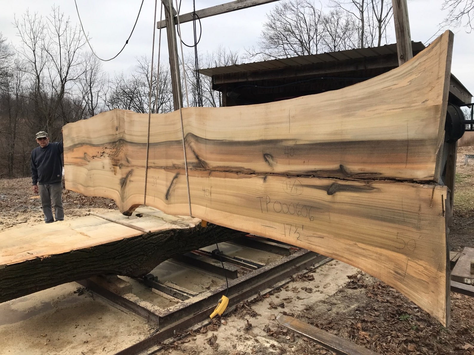Tulip Poplar | Live Edge Wood | Reclaimed Wood Slabs | Kiln Dried Wood ...