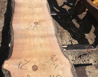 12 Foot Beech Wood Slab - Etsy