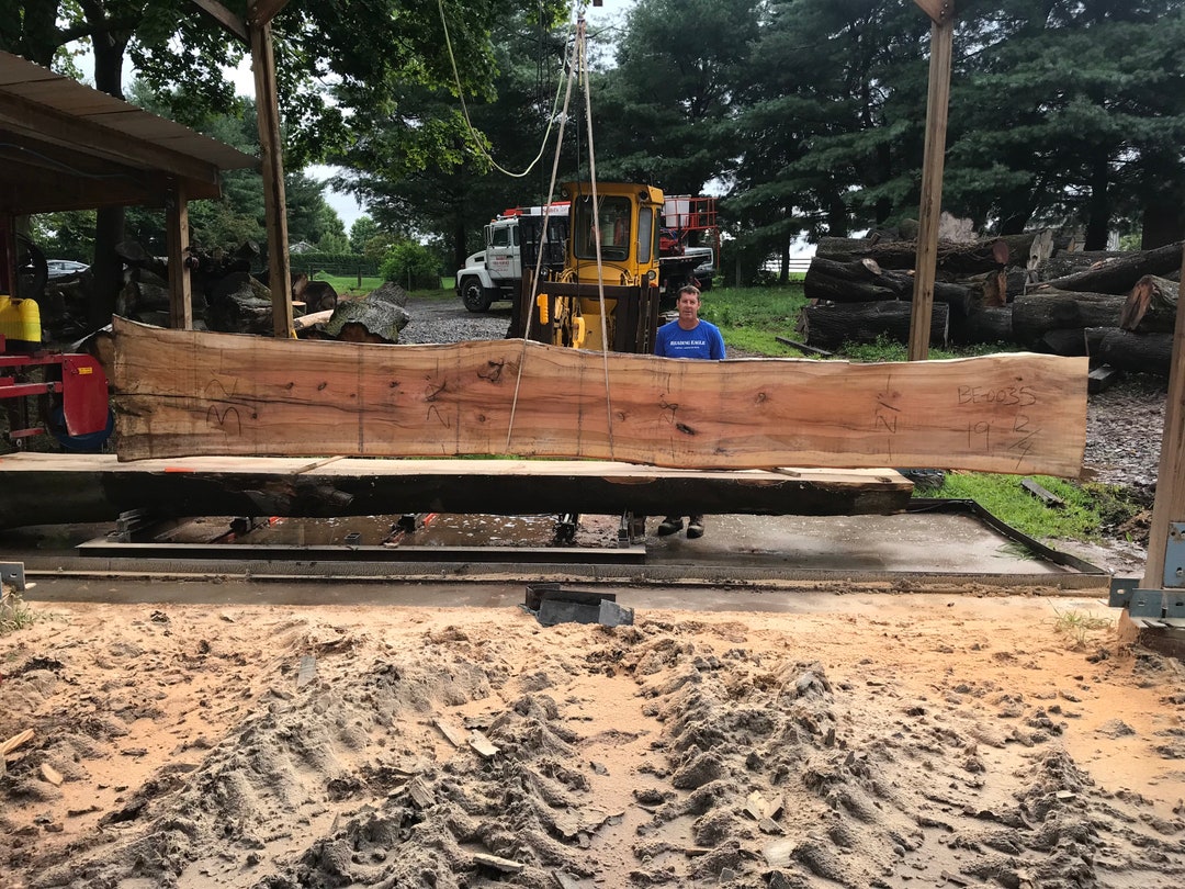 Beech | Live Edge Wood | Reclaimed Wood Slabs | Kiln Dried Wood for ...