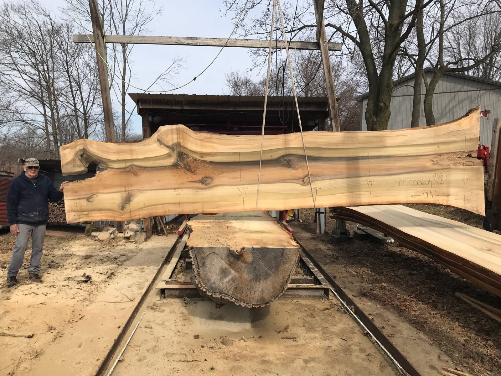 Tulip Poplar | Live Edge Wood | Reclaimed Wood Slabs | Kiln Dried Wood ...