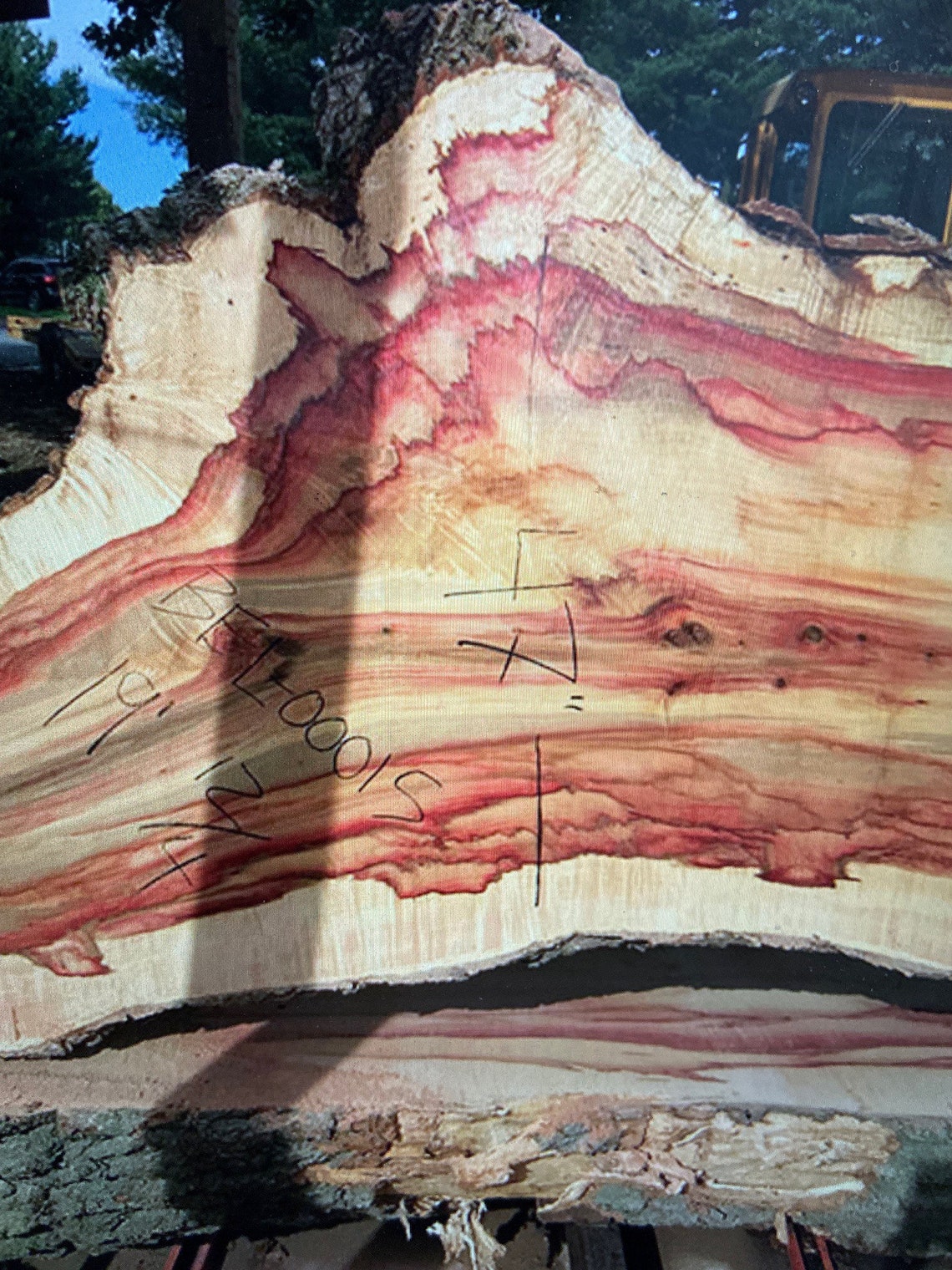 Box Elder Live Edge Wood Reclaimed Wood Slabs Kiln Dried - Etsy