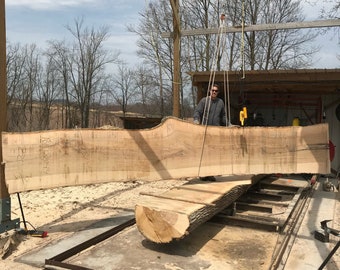 12 Foot Beech Wood Slab - Etsy