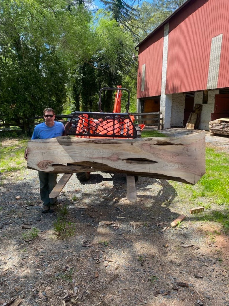 Dawn Redwood | Live Edge Wood | Reclaimed Wood Slabs | Kiln Dried Wood ...