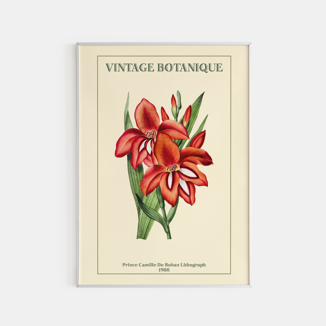 Botanical Print, Flower Market Poster, Printed Flower Poster, Matisse ...