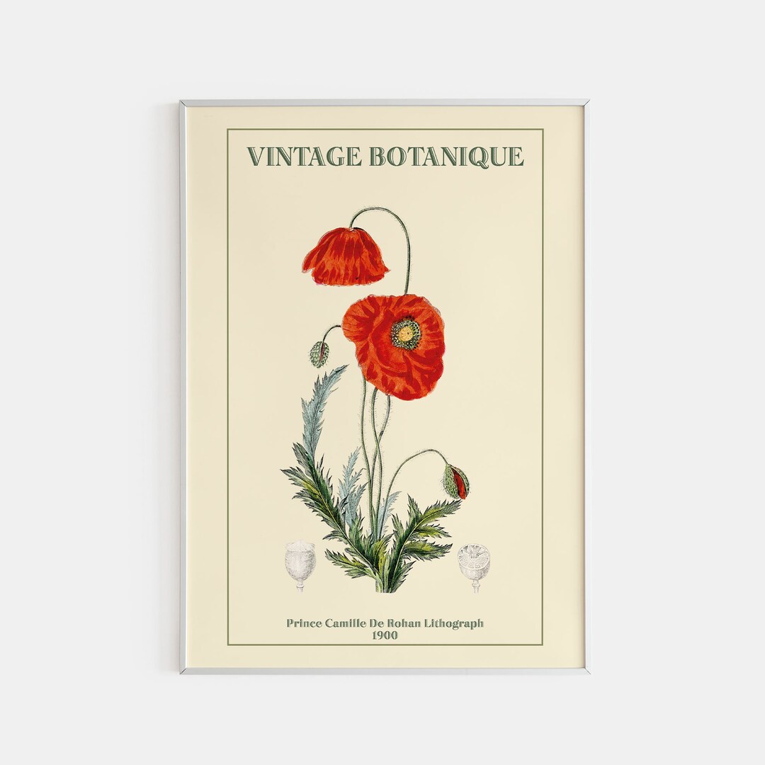 Botanical Print, Flower Market Poster, Printed Flower Poster, Matisse ...