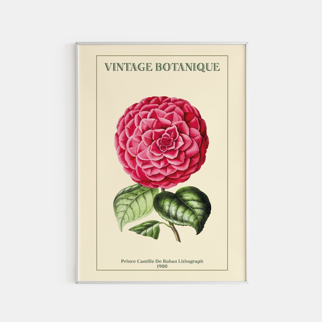 Botanical Print, Flower Market Poster, Printed Flower Poster, Matisse ...