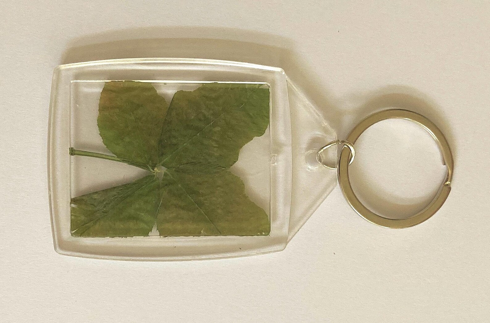 Four Leaf Clover Key Ring - Etsy