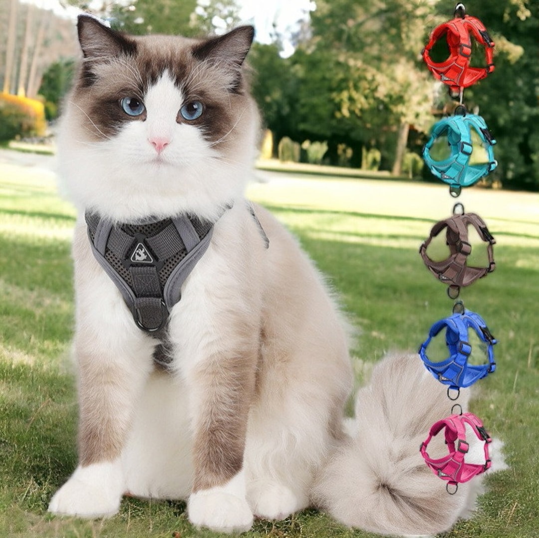 Cute Cat Harness, Cat Harness and Leash Set, Adjustable Cat Harness ...