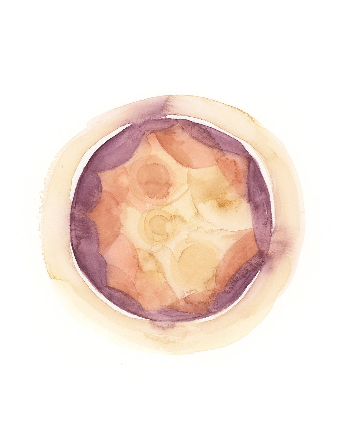 Custom Embryo Original Watercolor Painting, IVF Art, Embryo Art, IVF ...