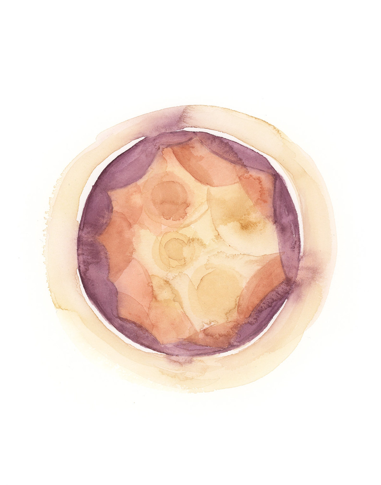 Custom Embryo Original Watercolor Painting, IVF Art, Embryo Art, IVF ...