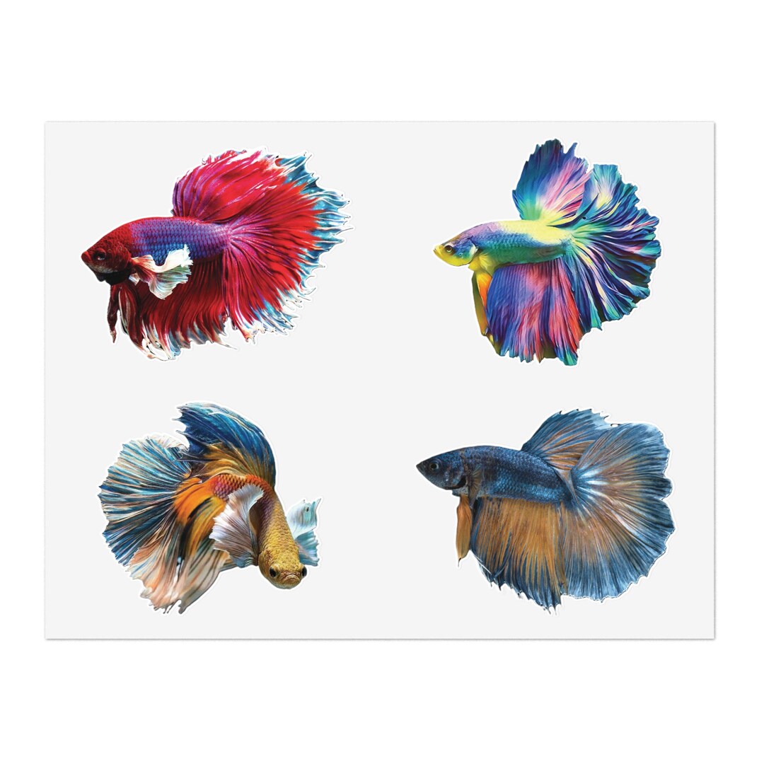 Betta Fish Sticker Sheet, Water-resistant Vinyl, Beautiful Betta Fish ...