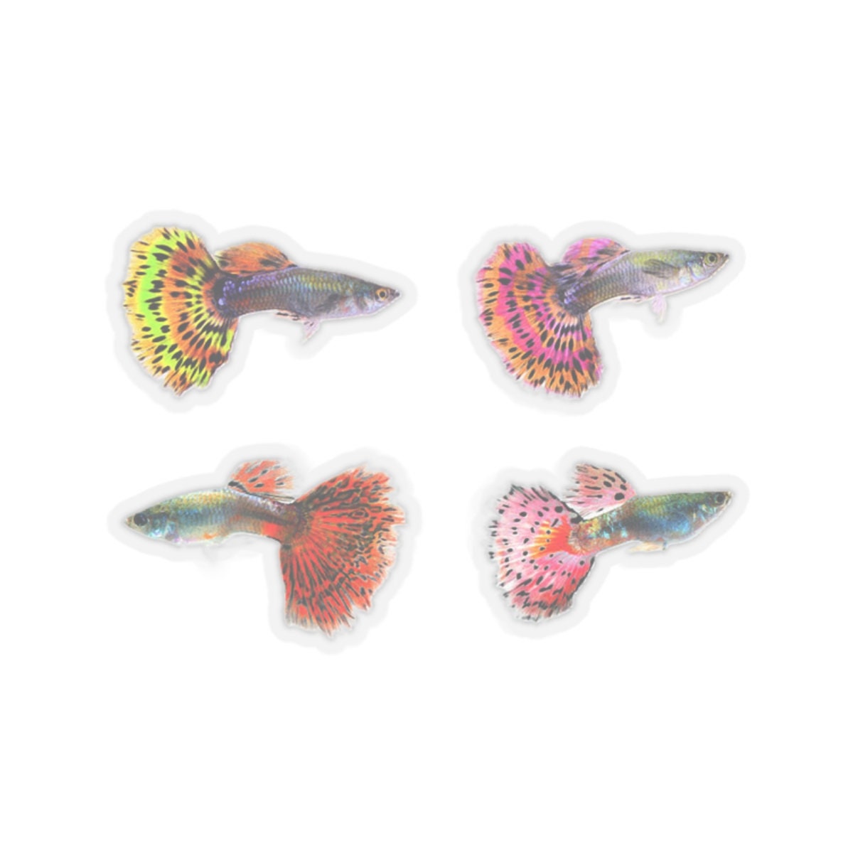 Guppy Fish Kiss-cut Sticker - Etsy