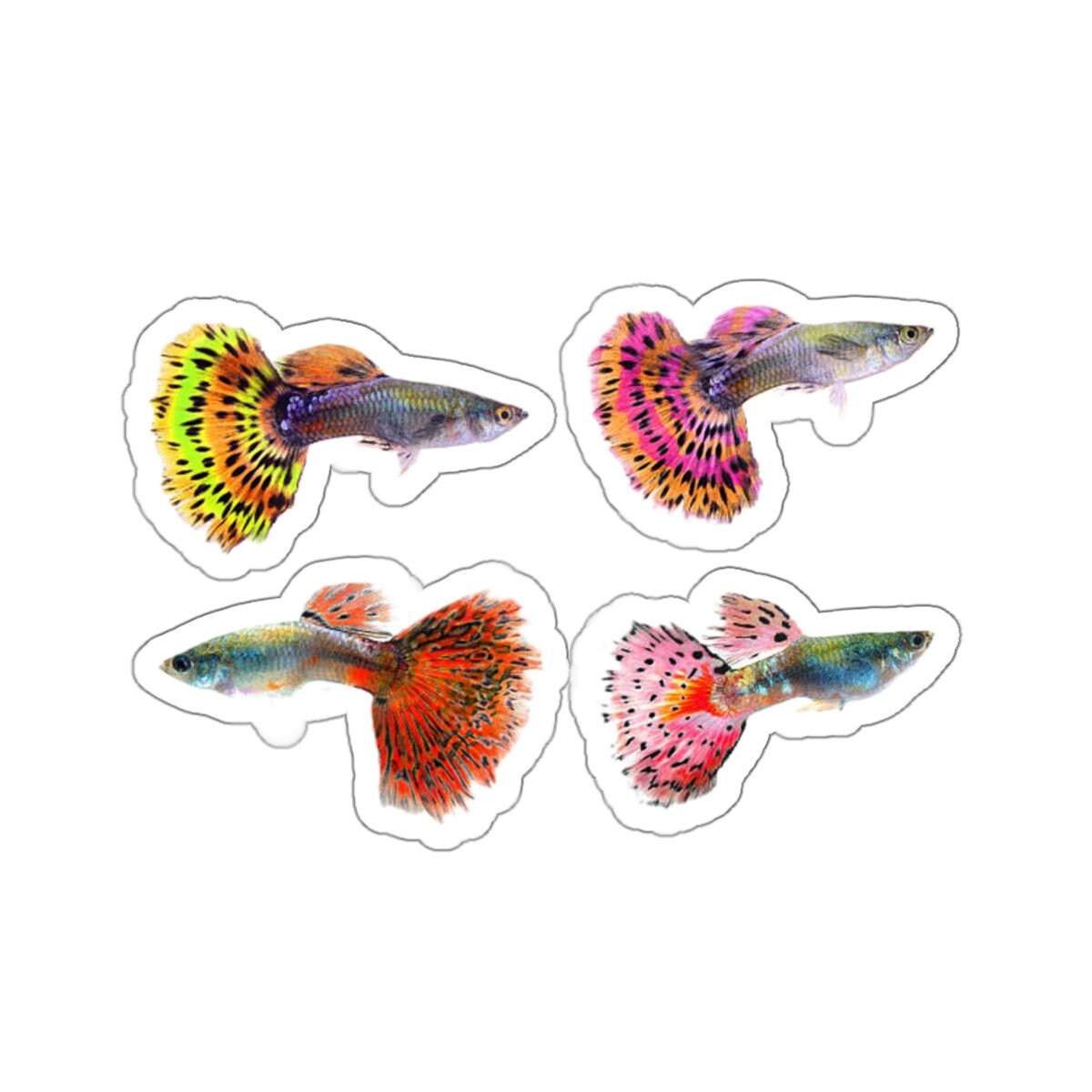 Guppy Fish Kiss-cut Sticker - Etsy