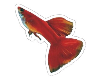 Guppy Fish Sticker - Etsy