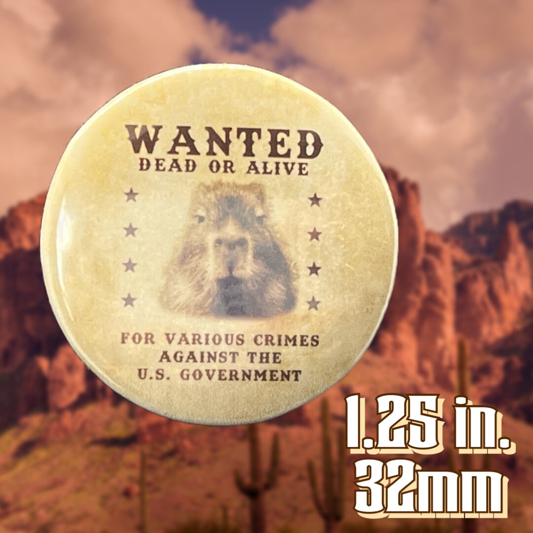 Gort Wanted Poster Capybara Meme OK I Pull up Pinback Button 1.25 32mm ...