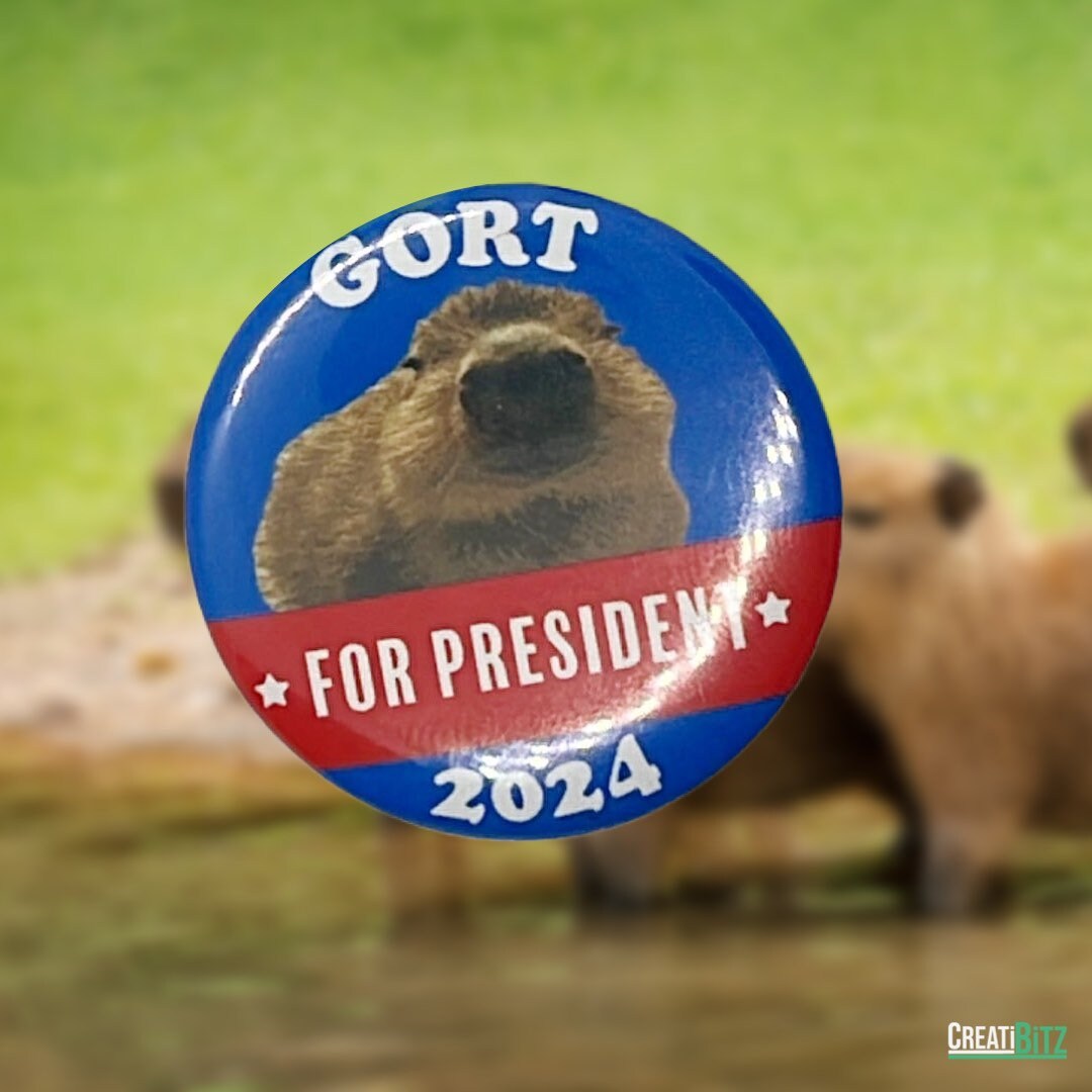 Gort for President 2024 Capybara Meme OK I Pull up Pinback - Etsy
