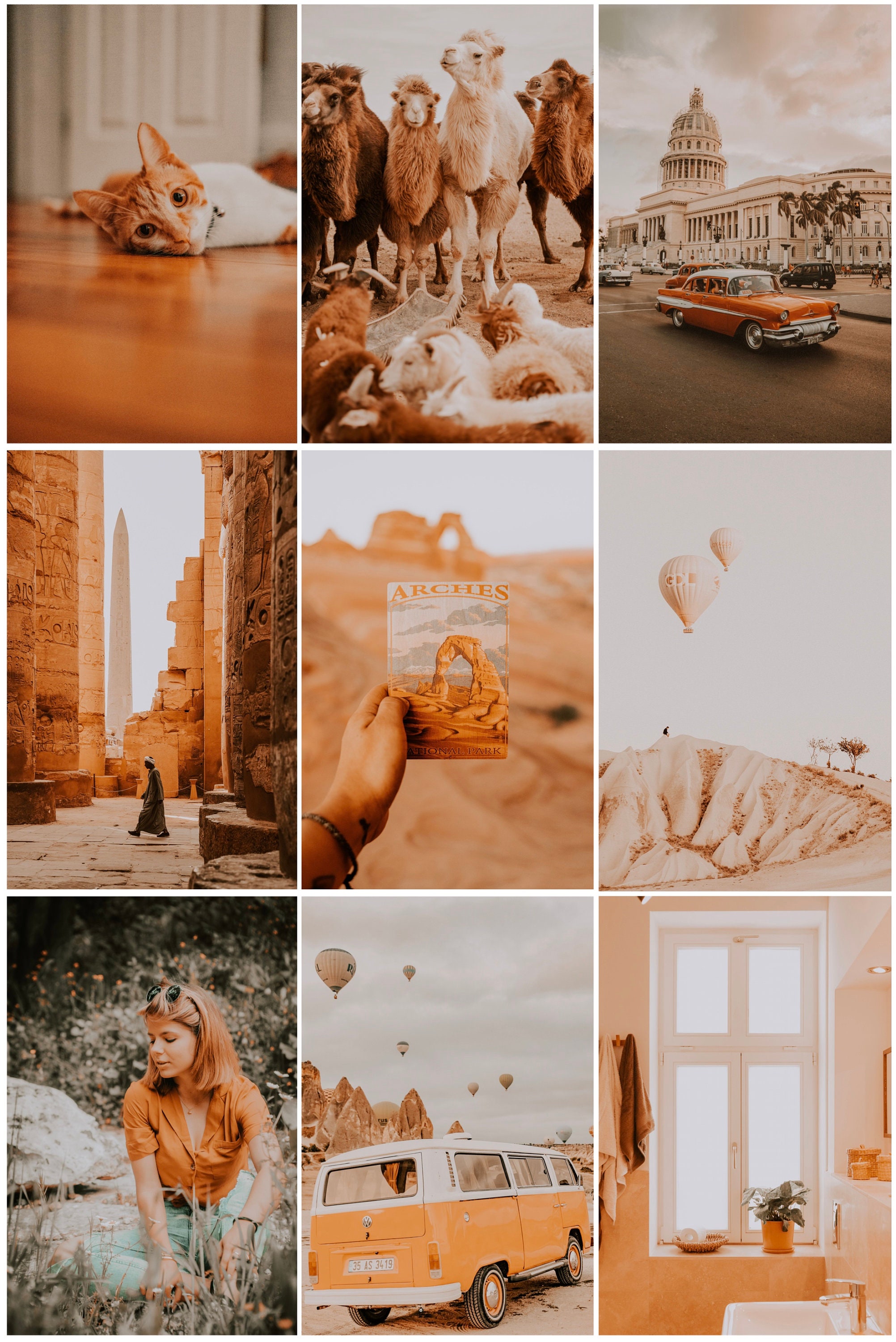 Wall Collage Kit Orange Burnt Orange Picture Collage Kit | Etsy