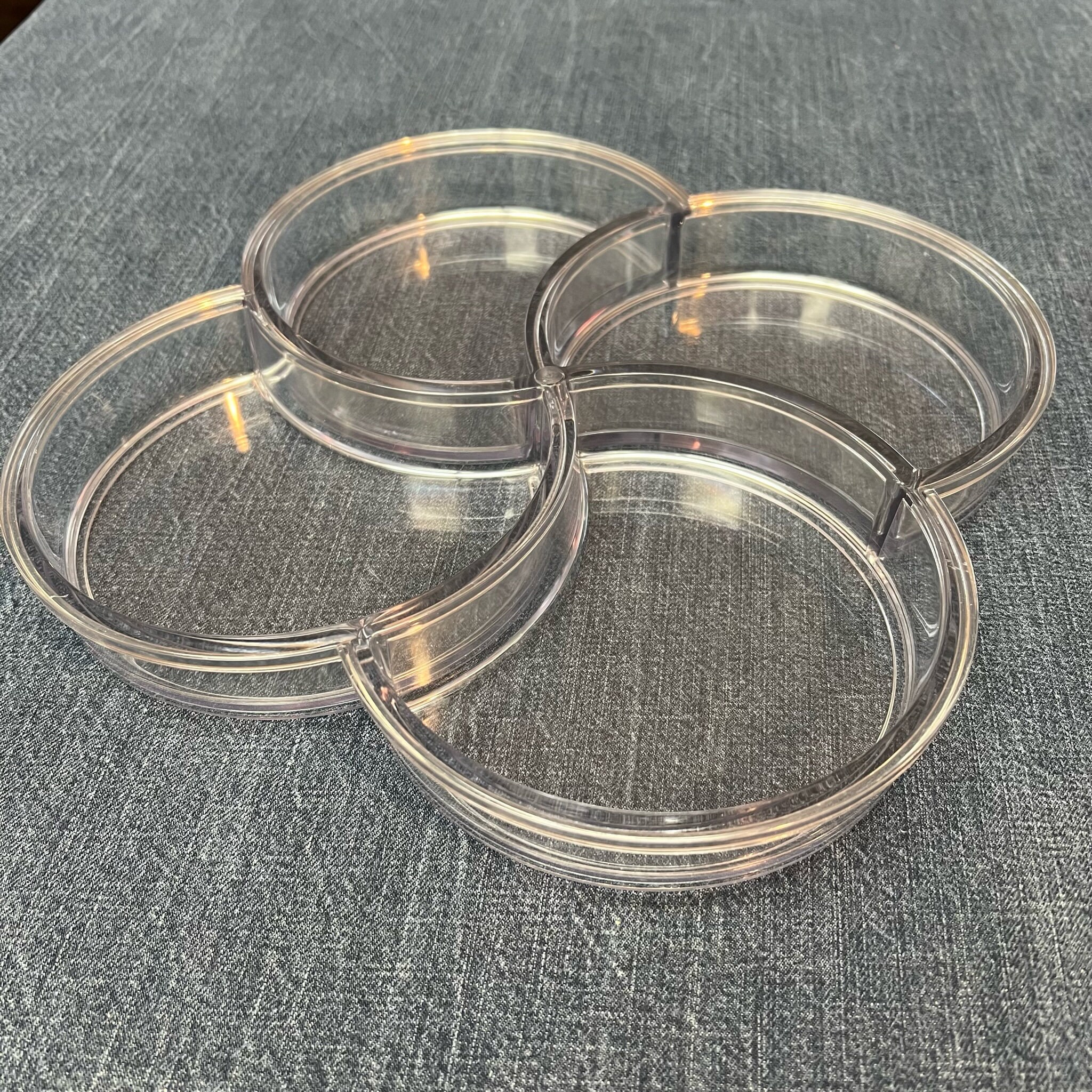 Vintage 4-part Clear Acrylic Serving Tray Designed by Gunnar - Etsy