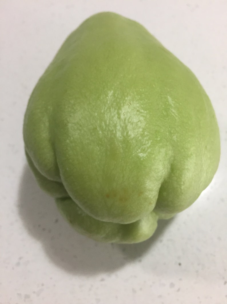 Chayote Squash(vegetable Pear/chow-chow/seeme Badinekai/seema Vankaya ...