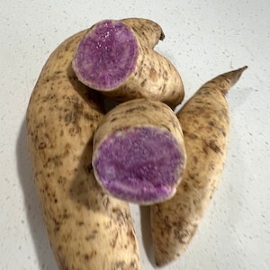 Purple Yam (hawaii Purple Yam/okinawan Potato) - Not for Planting ...