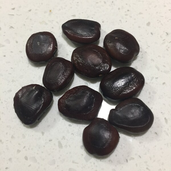 Indian Vegetable Seeds - Etsy