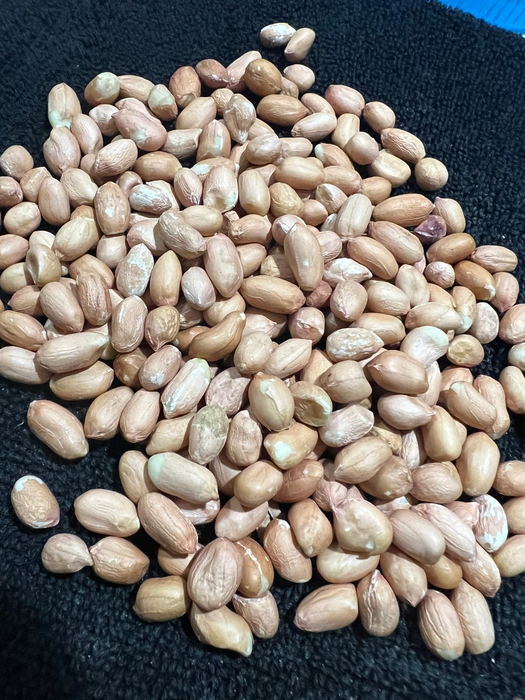 Groundnuts Indian Variety - Raw (peanuts/verusanaga/pallilu/mugaphali ...