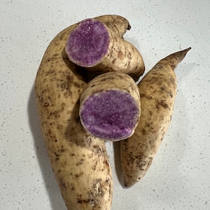 Purple Yam (hawaii Purple Yam/okinawan Potato) - Not for Planting ...
