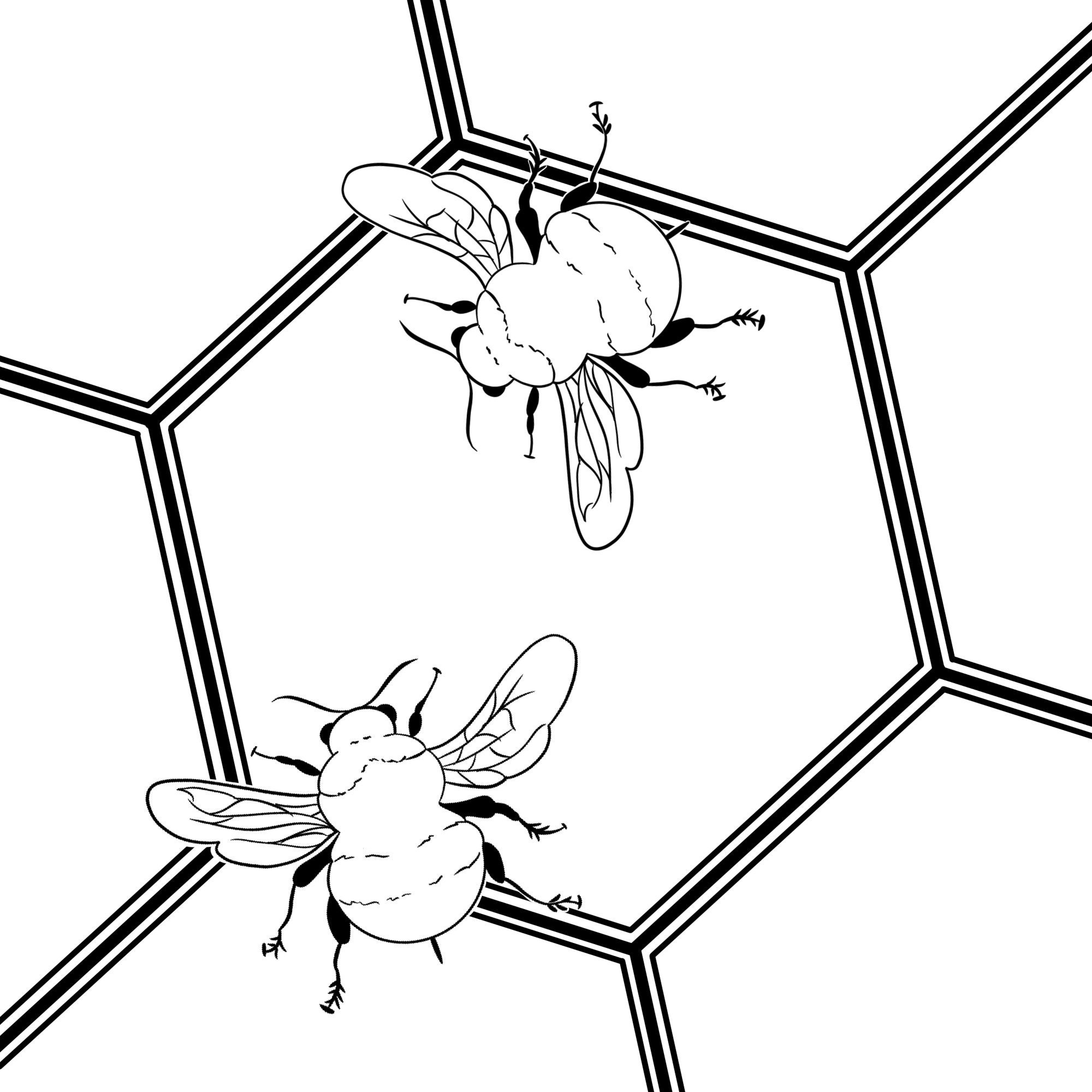 Bee Happy Coloring Page Collection - Etsy