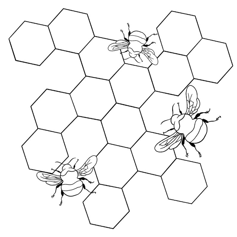 Bee Happy Coloring Page Collection - Etsy