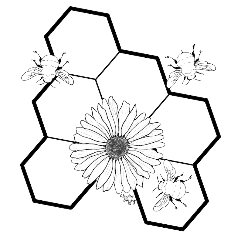 Bee Happy Coloring Page Collection - Etsy