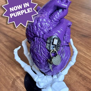 Realistic Heart-shaped Box! 2 Styles! Anatomical Heart! - Etsy