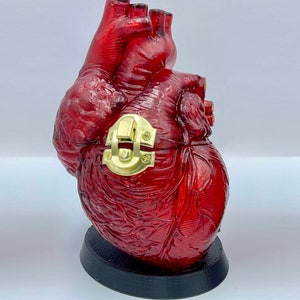 Realistic Heart-shaped Box 2 Styles Anatomical Heart - Etsy