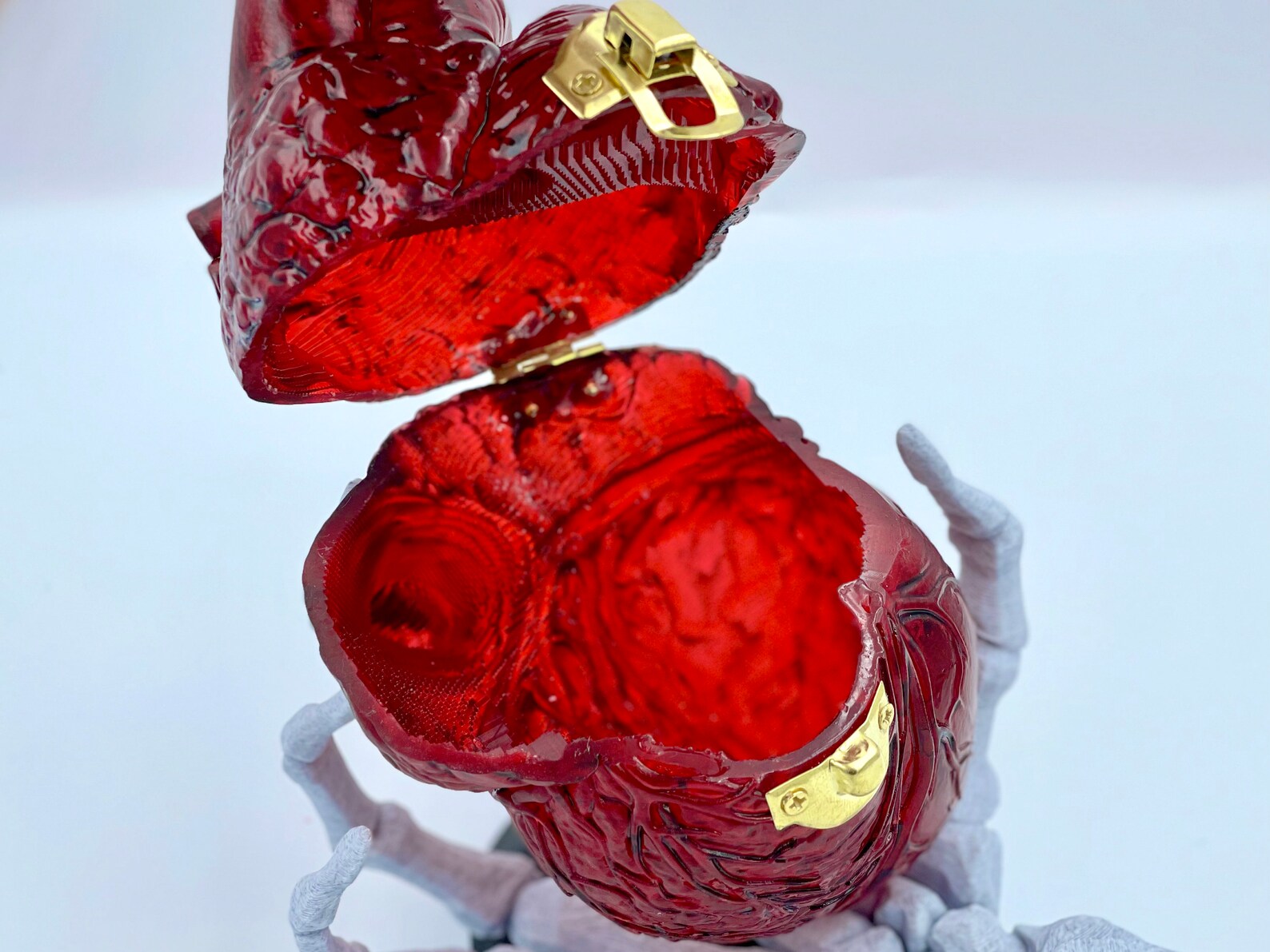 Realistic Heart-shaped Box 2 Styles Anatomical Heart - Etsy