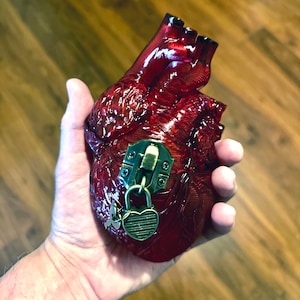 Realistic Heart-shaped Box! 2 Styles! Anatomical Heart! - Etsy