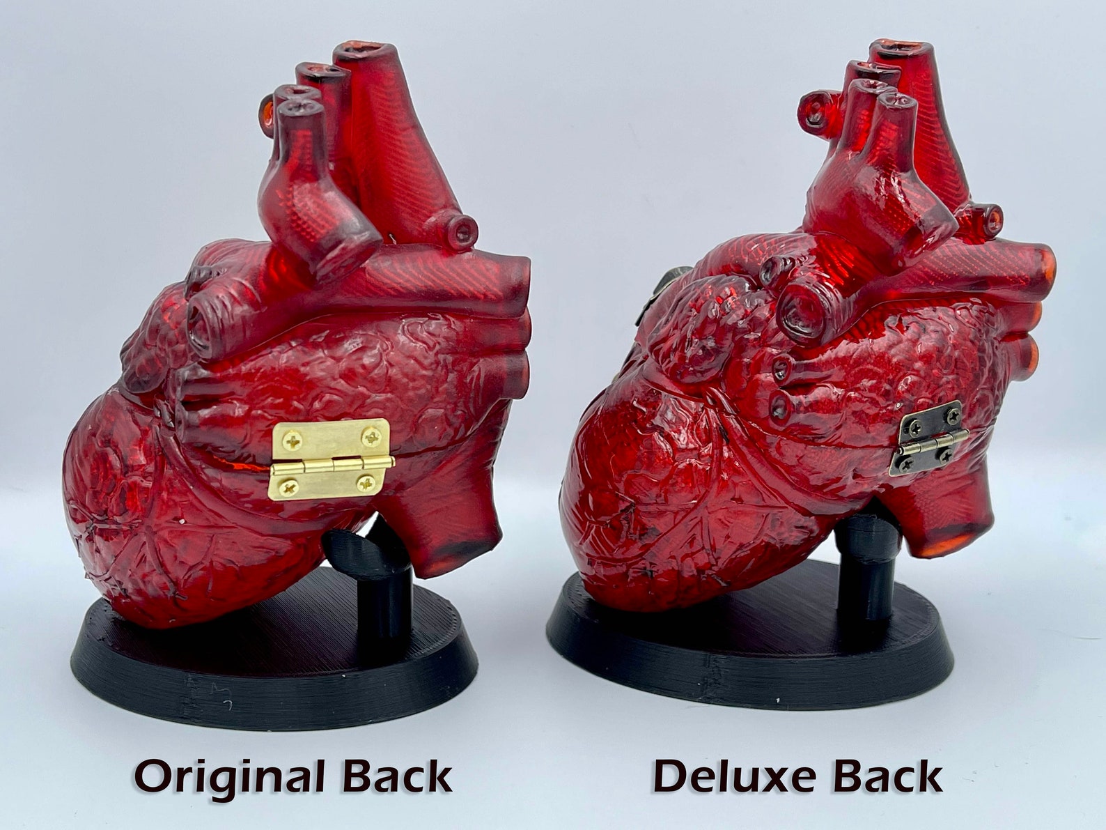 Realistic Heart-shaped Box 2 Styles Anatomical Heart - Etsy