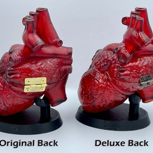 Realistic Heart-shaped Box 2 Styles Anatomical Heart - Etsy