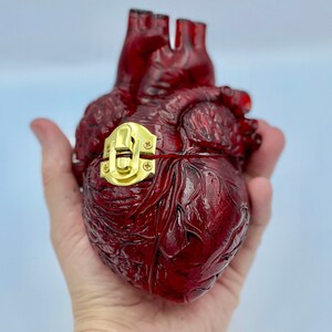 Realistic Heart-shaped Box 2 Styles Anatomical Heart - Etsy