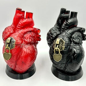 Realistic Heart-shaped Box 2 Styles Anatomical Heart - Etsy