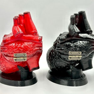 Realistic Heart-shaped Box! 2 Styles! Anatomical Heart! - Etsy