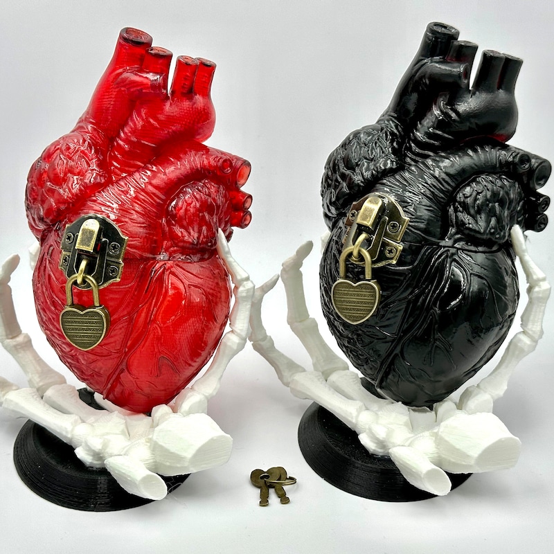 Realistic Heart in Box - Etsy