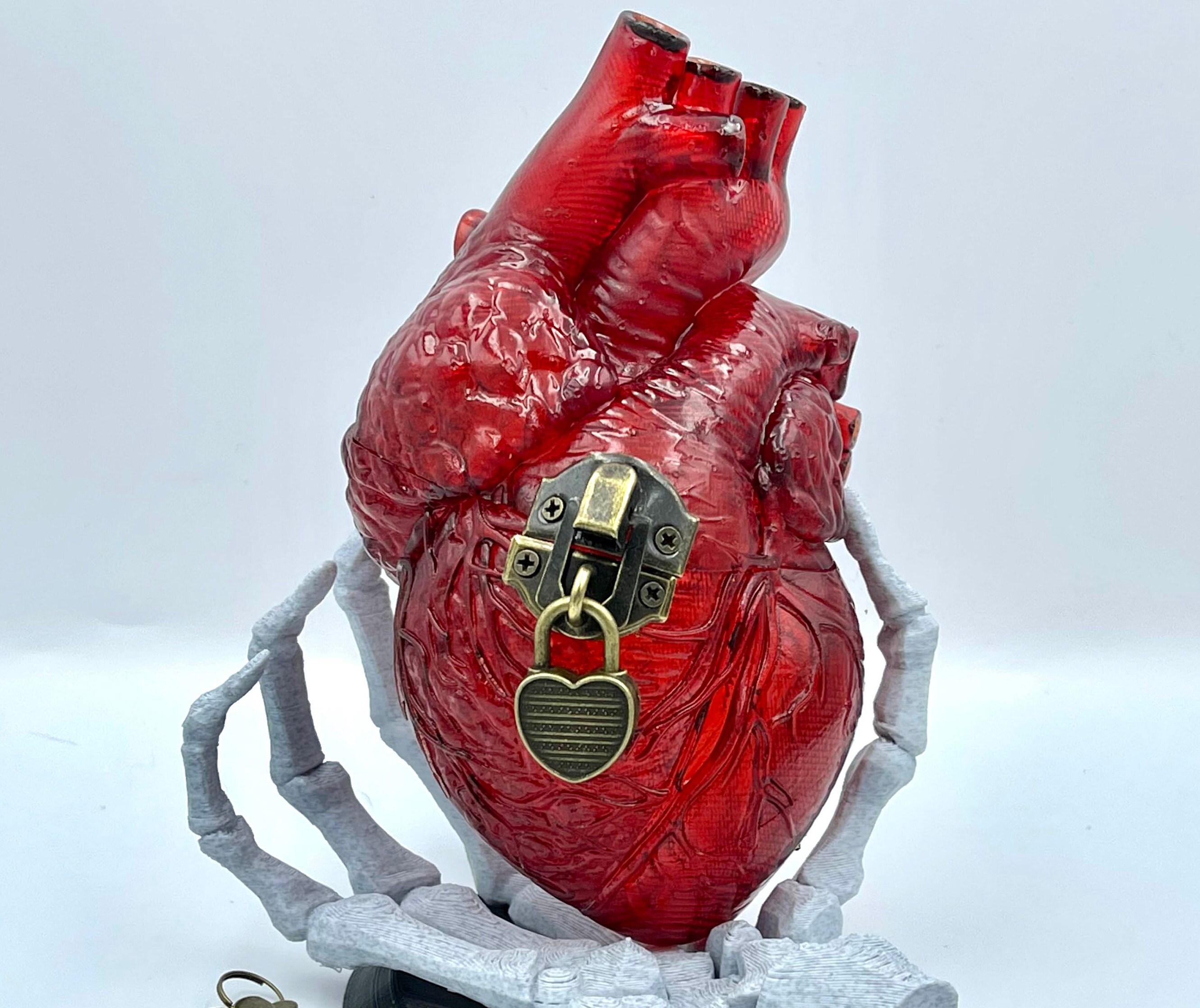 Realistic Heart-shaped Box 2 Styles Anatomical Heart - Etsy