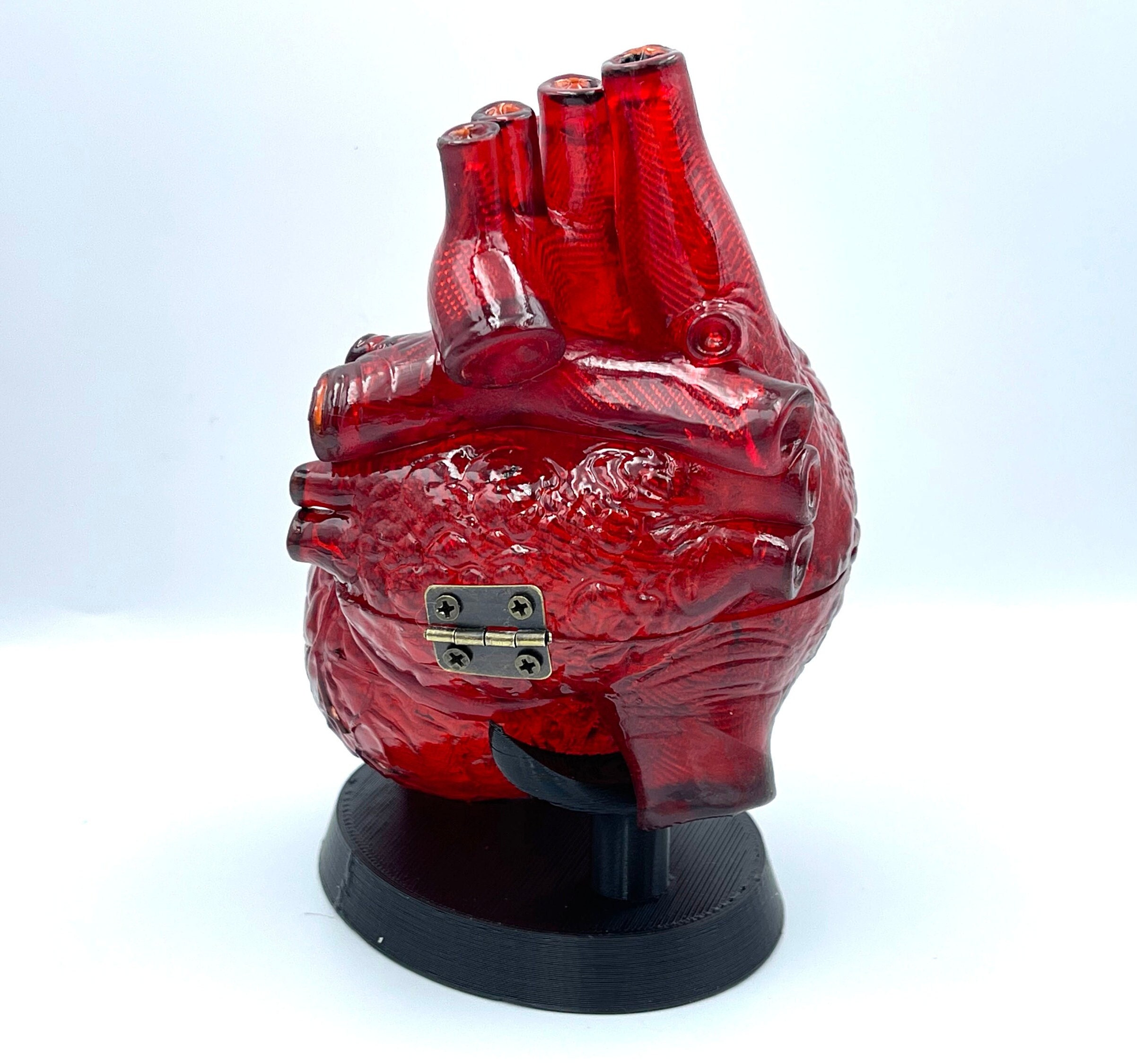 Realistic Heart-shaped Box 2 Styles Anatomical Heart - Etsy