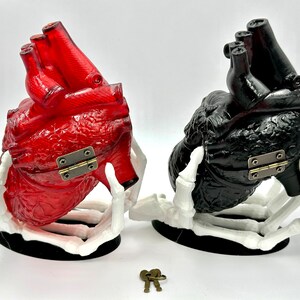 Realistic Heart-shaped Box 2 Styles Anatomical Heart - Etsy