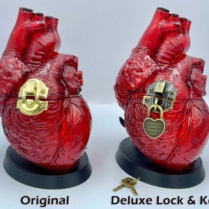 Realistic Heart-shaped Box 2 Styles Anatomical Heart - Etsy