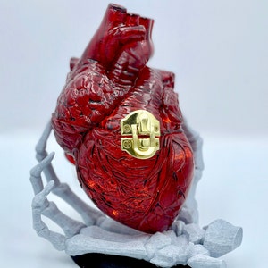 Realistic Heart-shaped Box 2 Styles Anatomical Heart - Etsy