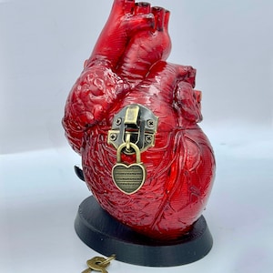 Realistic Heart-shaped Box! 2 Styles! Anatomical Heart! - Etsy