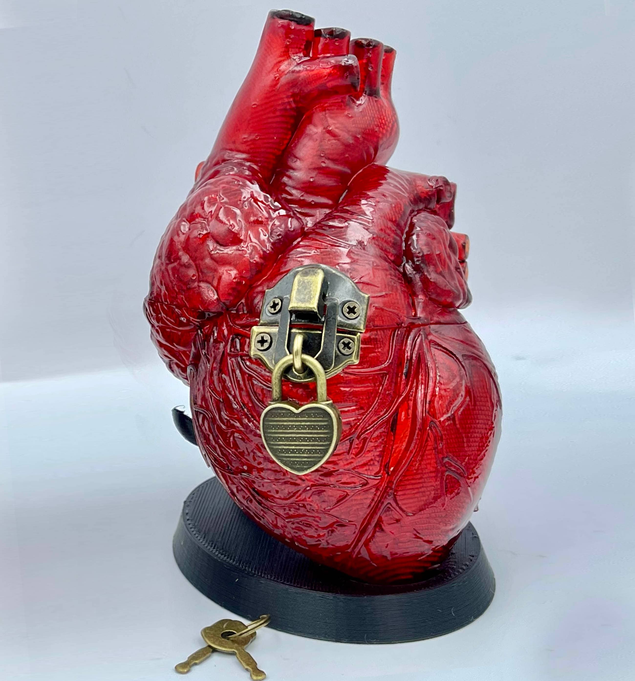 Realistic Heart-shaped Box 2 Styles Anatomical Heart - Etsy